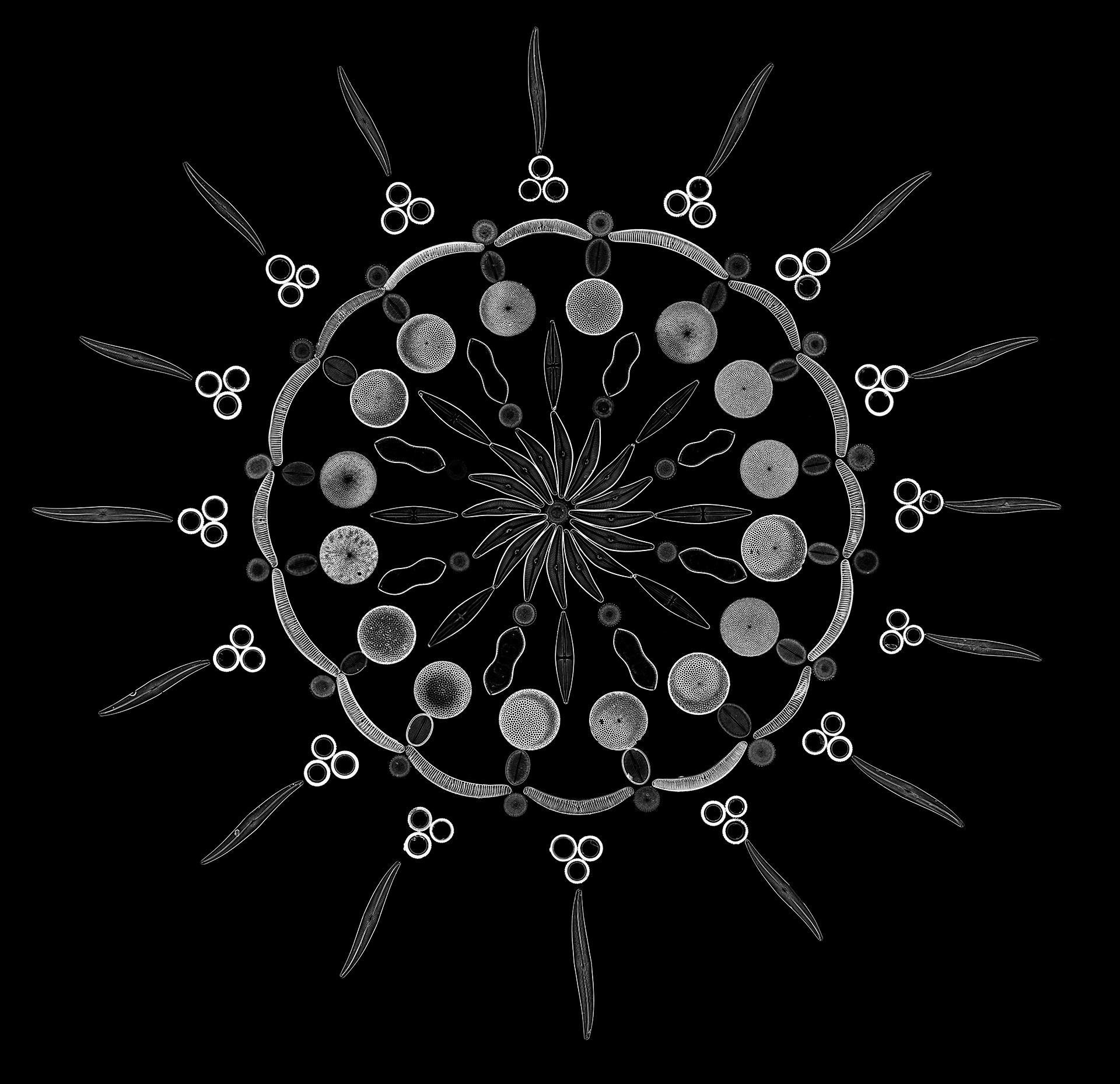 Diatoms arrangements – Need for Science